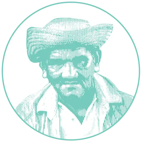 Rusaknya ekosistem pesisir timur Sumatera gara-gara deforestasi mangrove - Bagian 2 | Rainforest ...